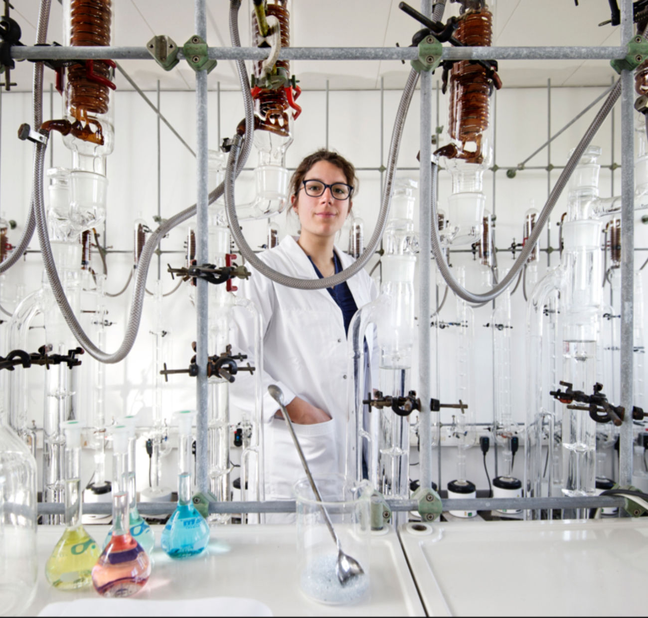 Homepage - nous.swde