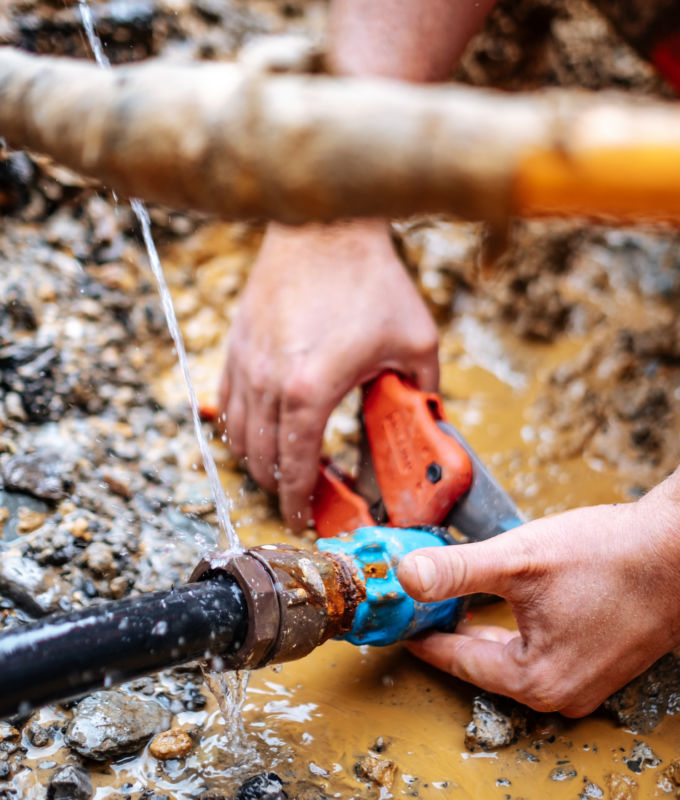 Homepage - nous.swde